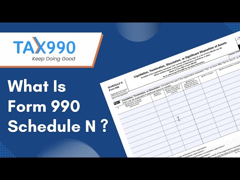 What Is Form 990 Schedule N?