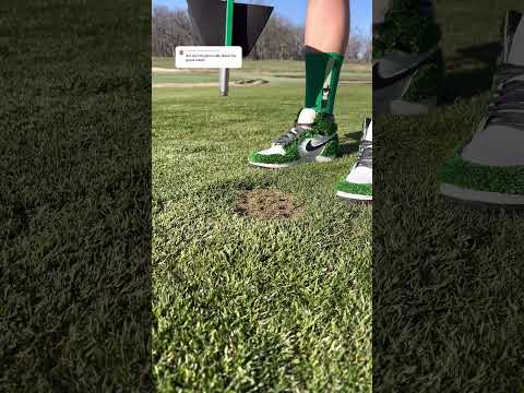 Coolest Way to Repair a Bare Spot