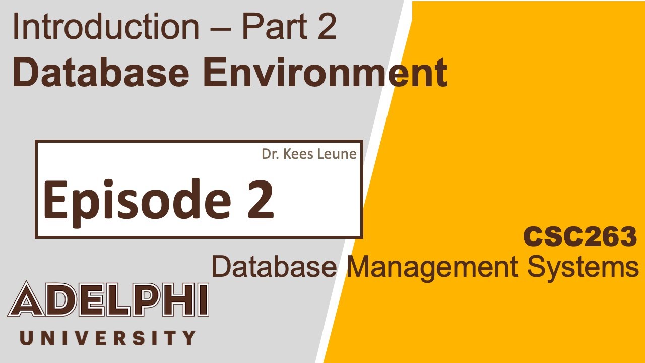 The Database Environment