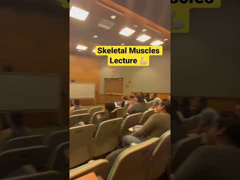 Skeletal Muscles Lecture! Are you ready to see the muscles in action?πͺπΌ