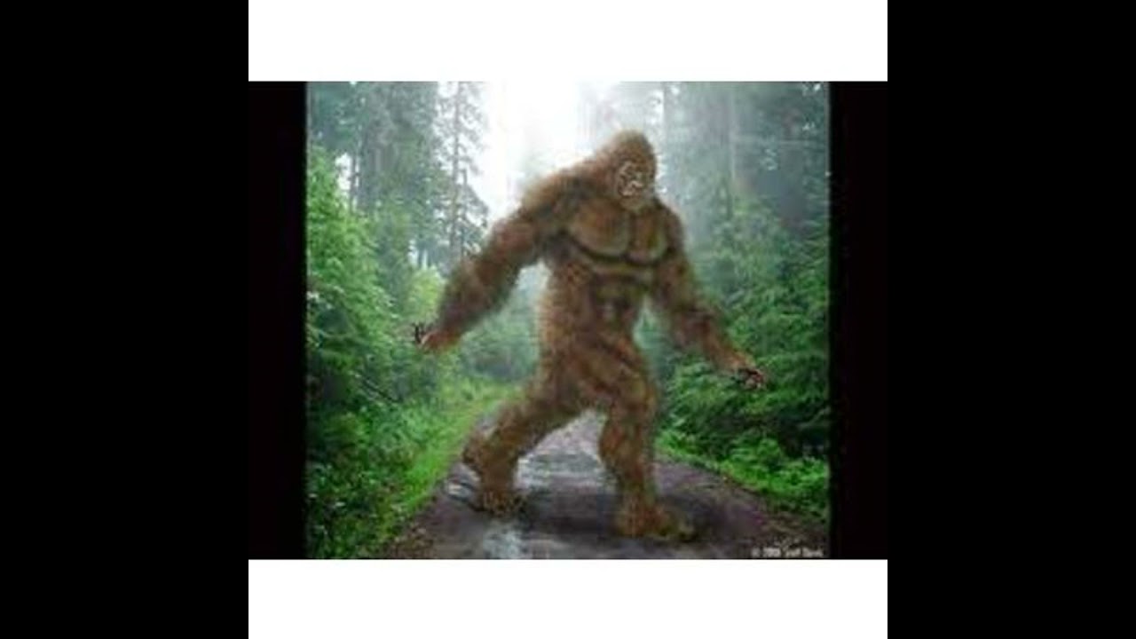 Bigfoot & other Cryptids with Researcher/Author Scott Carpenter