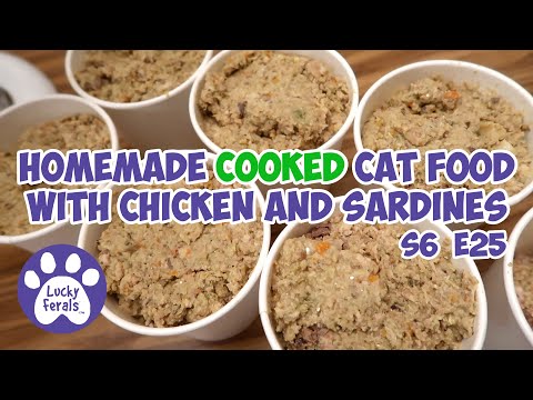 Homemade Cat Food Cooked Recipe With Chicken And Sardines S6 E25 Lucky Ferals