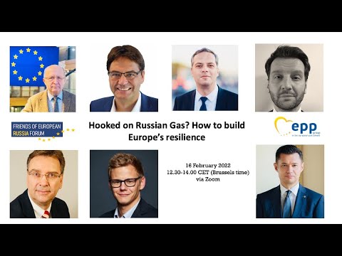 Friends of European Russia webinar: Hooked on Russian Gas? How to build Europe’s resilience