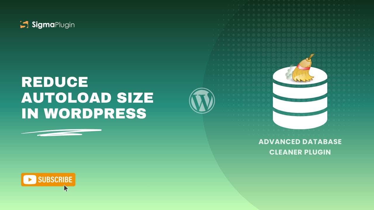 How to Reduce Autoload Size in WordPress for Better Performance