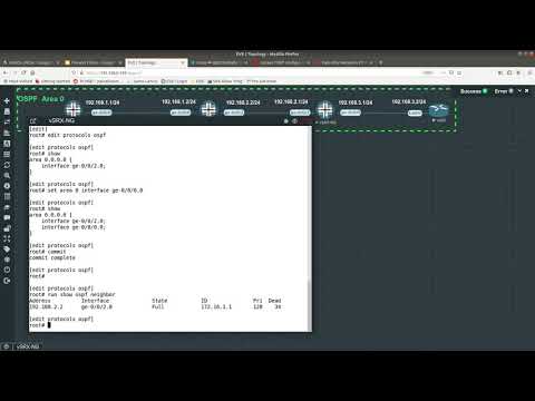 Juniper vSRX vs Cisco Router OSPF Configuration