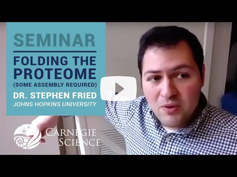 Folding the Proteome (Some Assembly Required) - Stephen David Fried