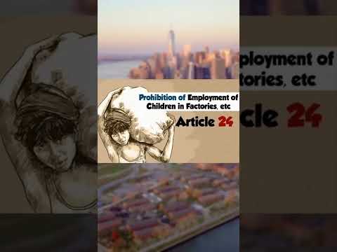 Article 24 | Indian Constitution #shorts