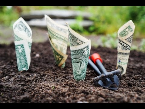 CircleUp Presents: Inside the Minds of Angel Investors
