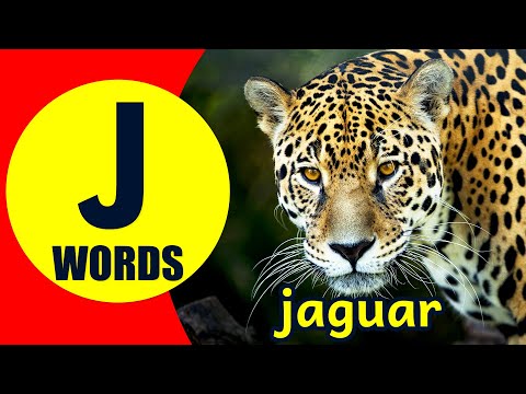 Words Starting With J - Learn Words that Start with J Sound