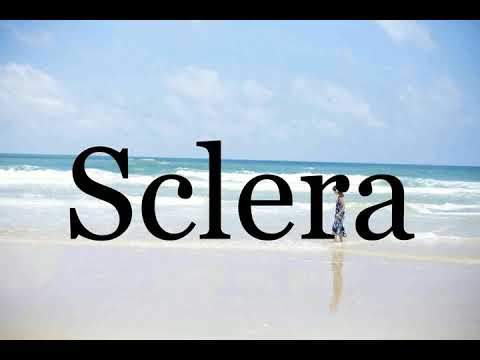 How To Pronounce Sclera🌈🌈🌈🌈🌈🌈Pronunciation Of Sclera