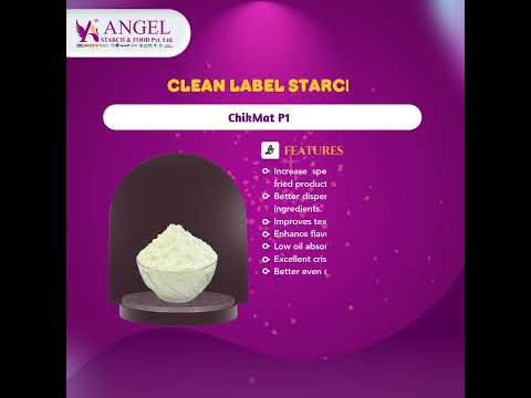 Angel Starch And Food Private Limited - Manufacturer of Starch For Food ...