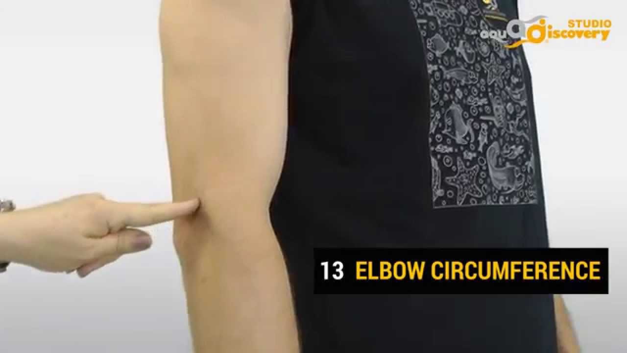13 ELBOW CIRCUMFERENCE  Aquadiscovery Studio