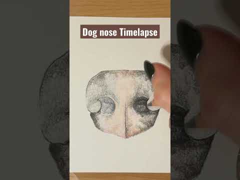 Art Timelapse- draw a realistic dog nose