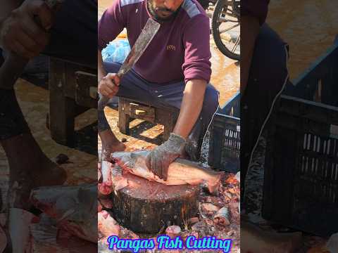 amazing giant pangasius fish cutting techniques #fish #seafood #fishcutting
