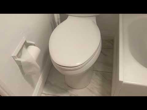 American Standard 204AA200 020 Edgemere Two Piece Toilet Review, Nice Quality Sleek Styling!