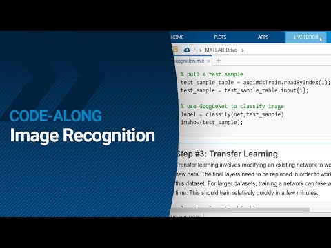 Image Recognition Code-Along