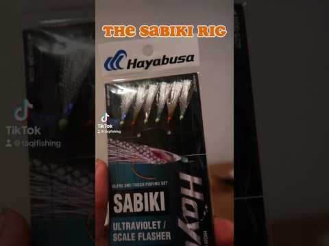 Hayabusa sabiki rig for catching yellow tail Jack mackerels #fishingnz #fishing #fishingequipment