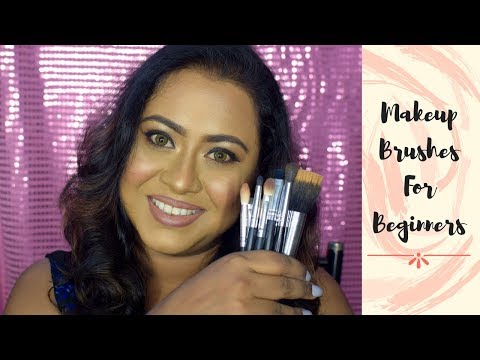Makeup Brush for Beginners