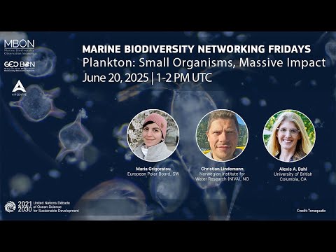 Marine Biodiversity Networking Friday on Plankton: Small Organisms, Massive Impact