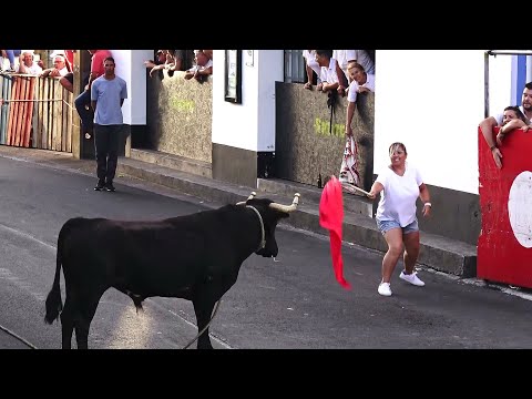 Tourada Terra Chã - Touros ER - (376,446,435,463) - 5/8/2024 - Ilha Terceira - Açores