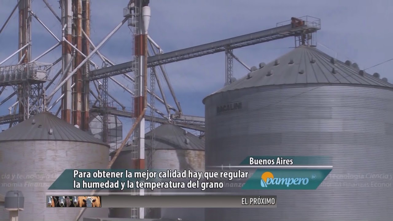 ¿Cómo mejoramos la conservación de granos?