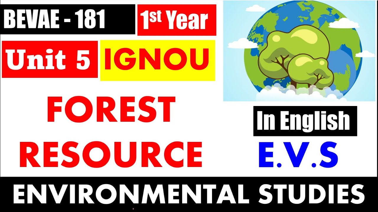 Understanding Forest Resources: Importance, Deforestation, and ...