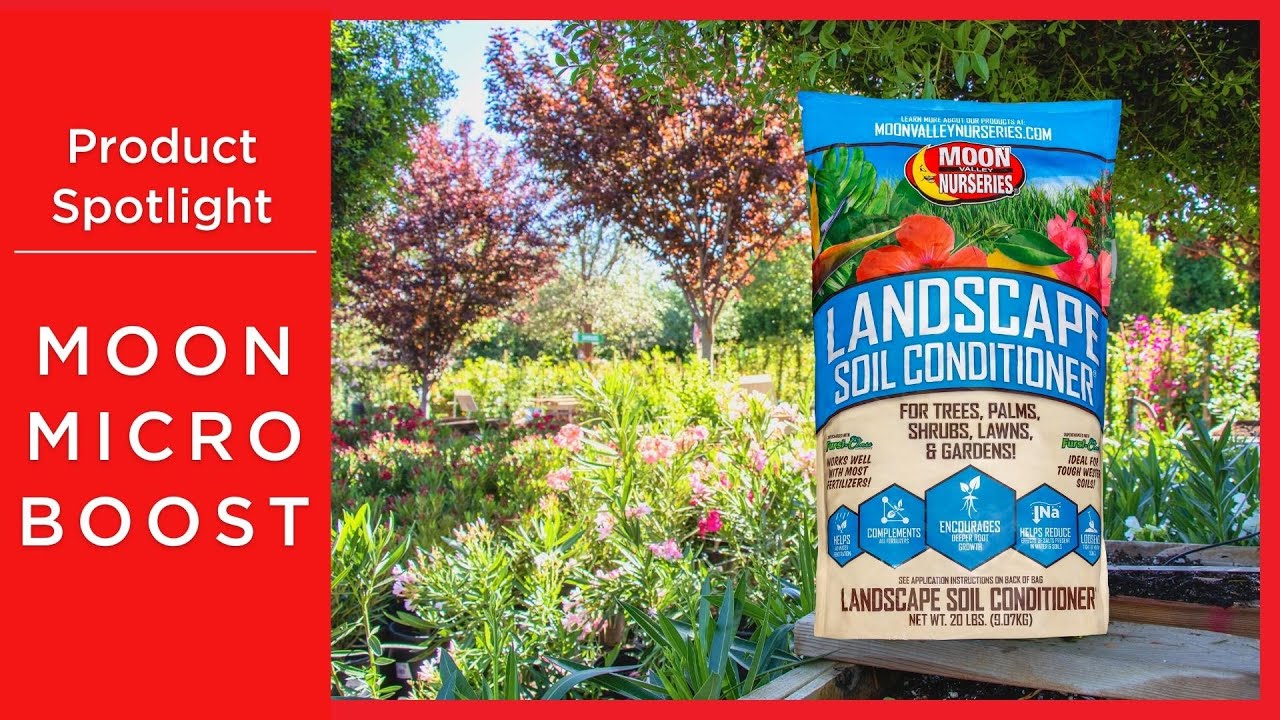 The BEST Soil for Planting Trees & Plants in Your Yard!