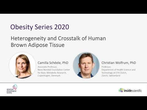 Heterogeneity and Crosstalk of Human Brown Adipose Tissue