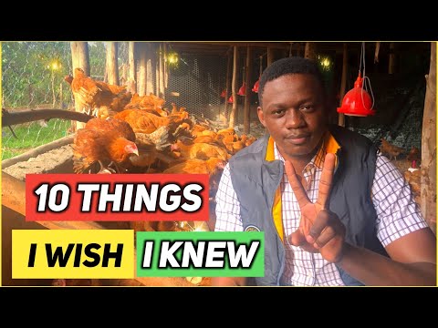 10 Things I Wish I Knew Before Starting A Poultry Farm