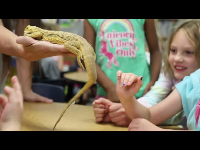 Education Grant for Teachers - Pets in the Classroom