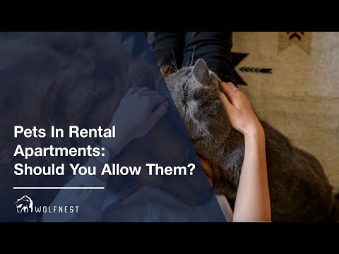Pets in Rental Apartments: Should You Allow Them?