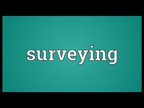 Surveying Meaning