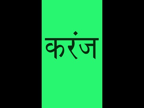 #करंज