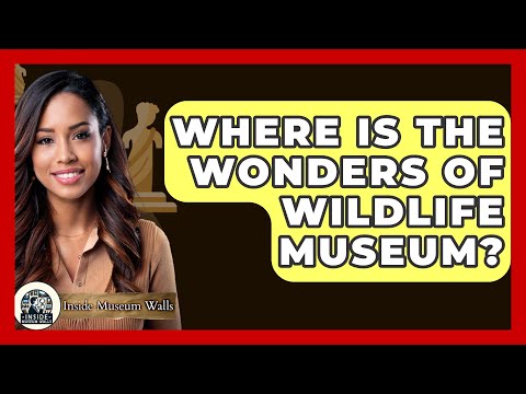 Where Is The Wonders Of Wildlife Museum? - Inside Museum Walls