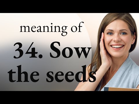 Unlocking the Meaning: "Sow the Seeds" in English