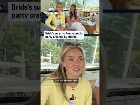 Bride's surprise bachelorette party crashed by sharks