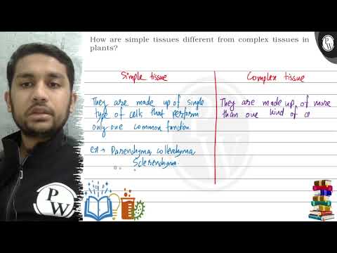 How are simple tissues different from complex tissues in plants?