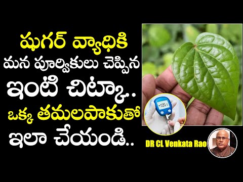 Health Benefits of Betel Leaves in Telugu | Tamalapaku Benefits Telugu By C L Venkat Rao | TX TV