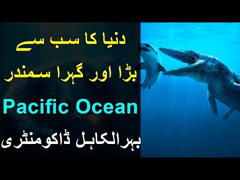 Pacific Ocean | Biggest Ocean Of The World In Urdu/Hindi