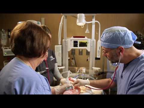 Methodist: The Meaning of Care -- Care Teams