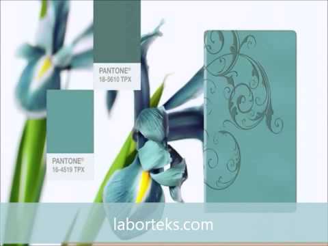 Pantone Tpx Yelpaze Tanıtım