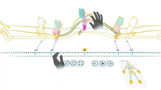 TimeTunnel: Integrating Spatial and Temporal Motion Editing for Character Animation in Virtual ...