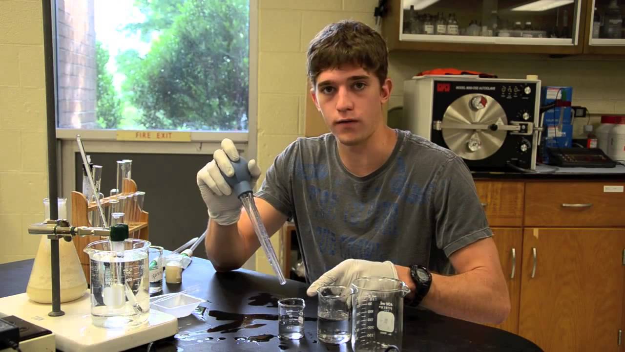 Pre-Lab Yeast Fermentation