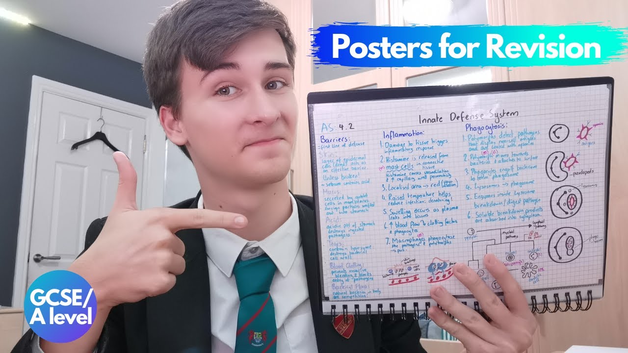 How to make PERFECT Revision POSTERS! 📝