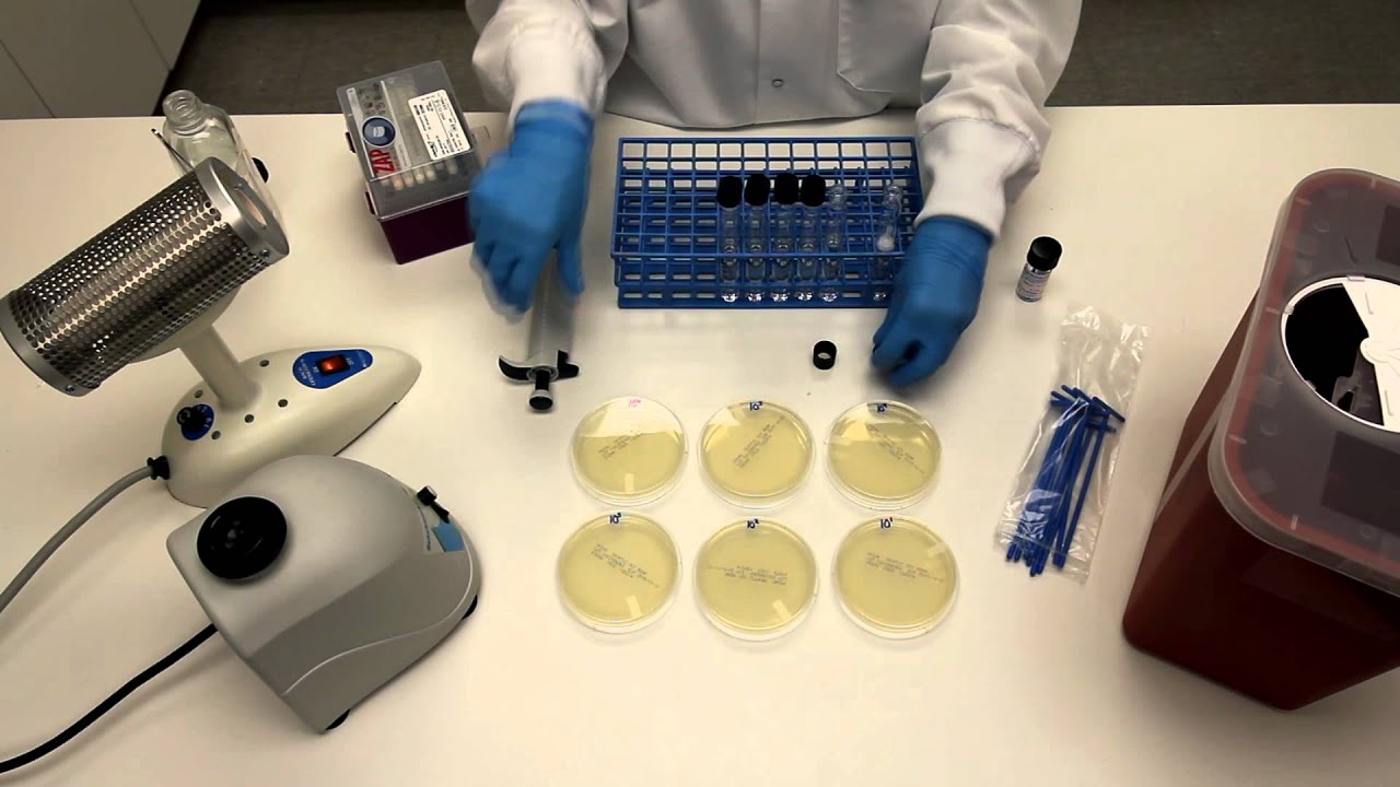 How to Perform Serial Dilutions in Microbiology