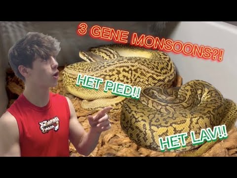 Worlds first VISUAL MONSOON Combos!! (NEVER BEFORE SEEN)