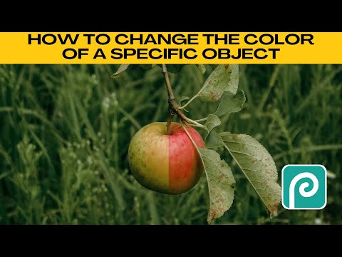 How to Change the Color of ANY Object in Photopea (Step-by-Step)