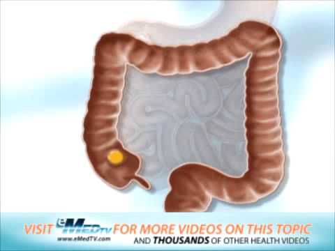 The Digestive System