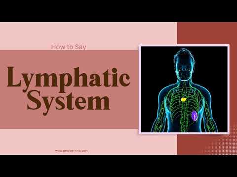 How to Say Lymphatic System In British English