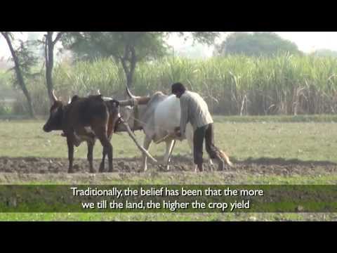 Climate Smart Village Project: The benefits of conservation agriculture